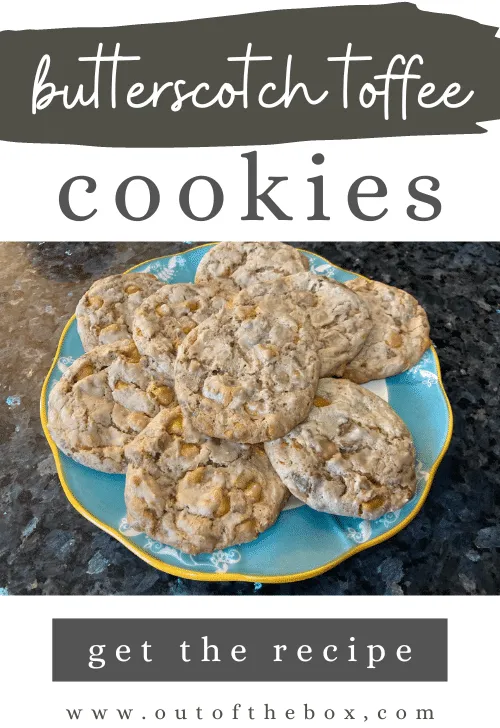 Easy Butterscotch Toffee Cookies - Out of the Box Baking