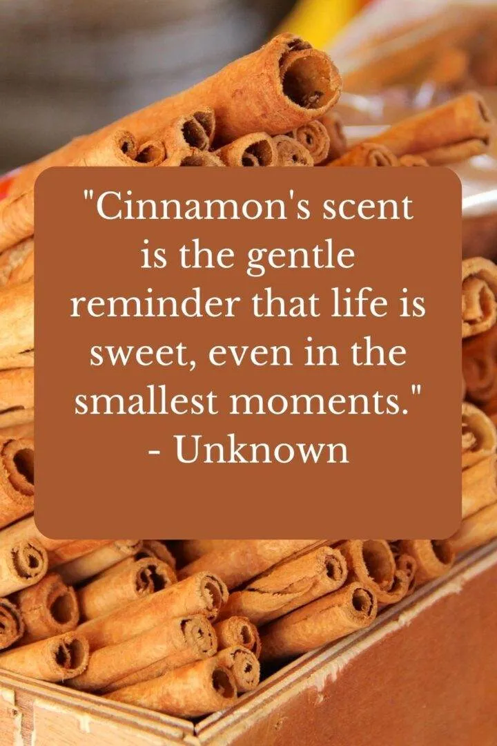 101 Tasty Quotes about Cinnamon - Out of the Box Baking