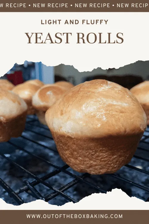 23 Amazing Bread Recipes for 2023 - Out of the Box Baking