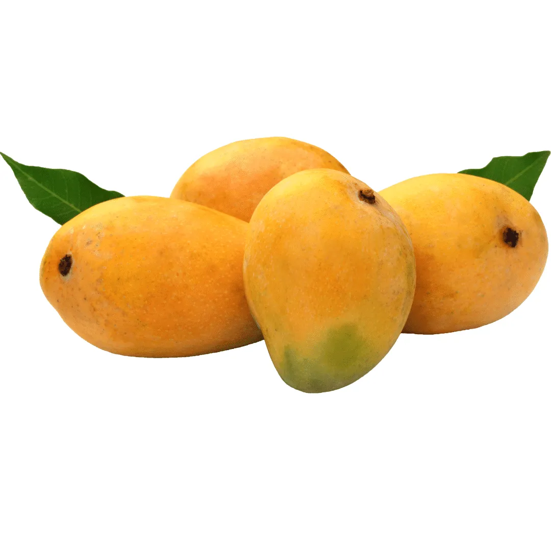 Easy Mango Pineapple Cake with Coconut - Out of the Box Baking